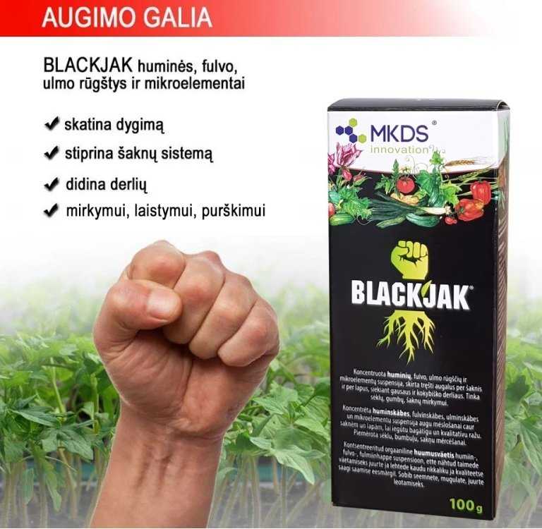 Mkds BLACKJAK HUMINĖS RŪGŠTYS ĮSIŠAKNIJIMUI, 100 ML, žema kaina | Varle.lt