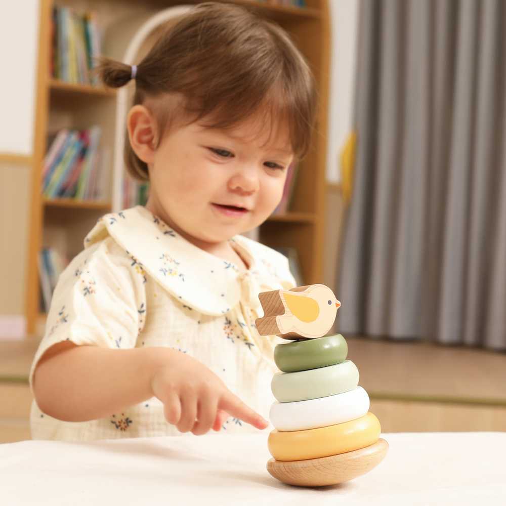 Dėlionė Viga Toys Medinė edukacinė piramidė VIGA PolarB, žema kaina | Varle.lt