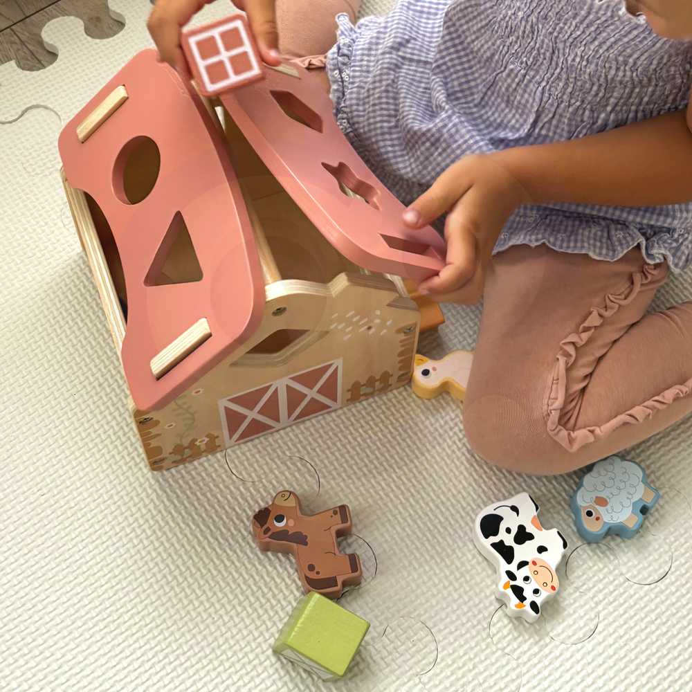 Tooky Toys TOOKY TOY tvartas Medinis rūšiuotojas Gyvūnų formos, modelis ...