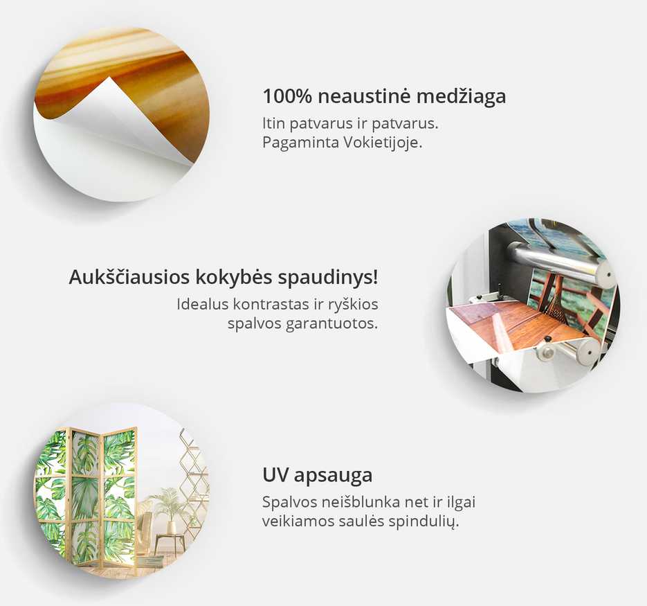 Artgeist Japoniška kambario pertvara - Sage Žalias Flourishes, modelis ...