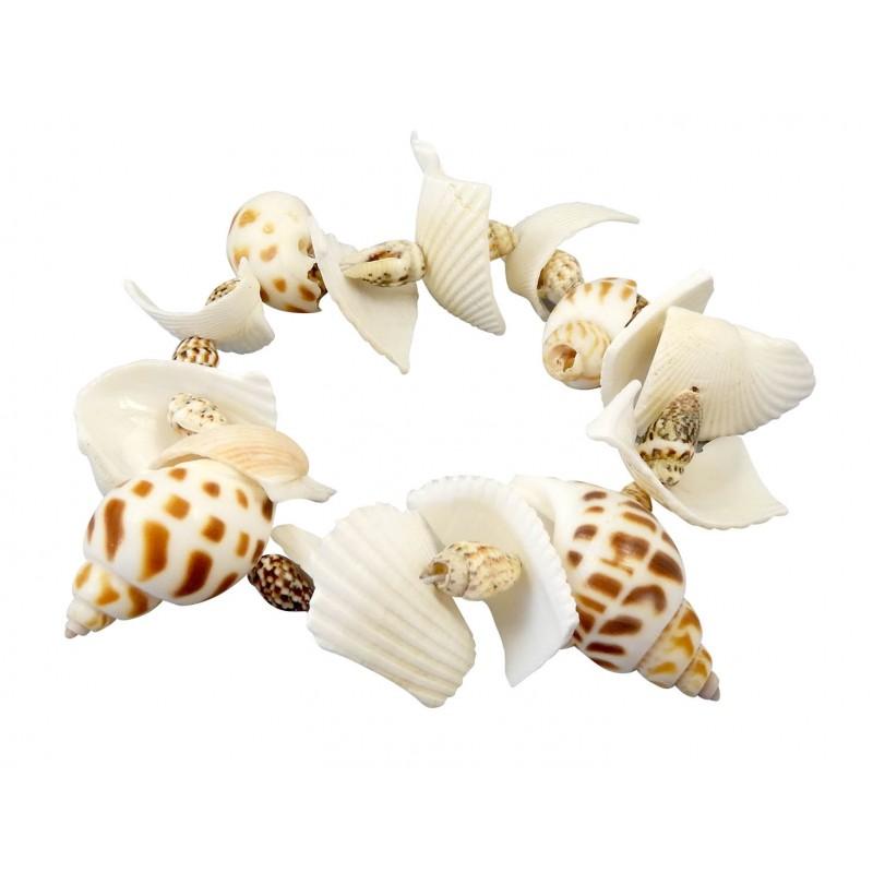 Buki Dig Kit Shells, žema kaina | Varle.lt