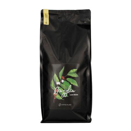 COFFEE PLANT - Brazil Lua Roxa Espresso 1kg, modelis - 2101030083, žema ...