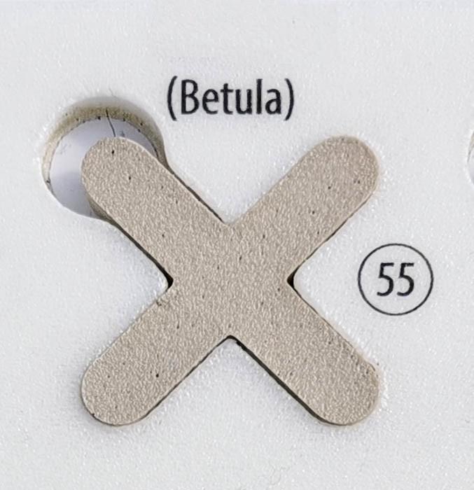 Fugalite Bio Parquet betula 55, 3kg (A+B) epoksidinis glaistas medžio ...