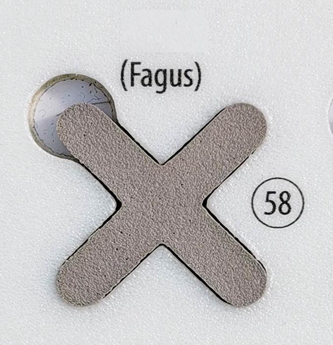 Fugalite Bio Parquet Fagus 58, 3kg (A+B) epoksidinis glaistas medžio ...