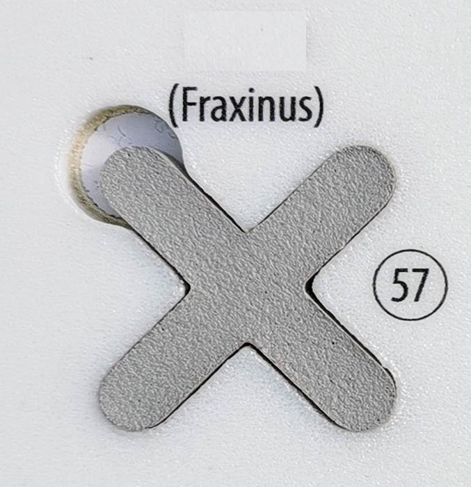 Fugalite Bio Parquet fraxinus 57, 3kg (A+B) epoksidinis glaistas medžio ...