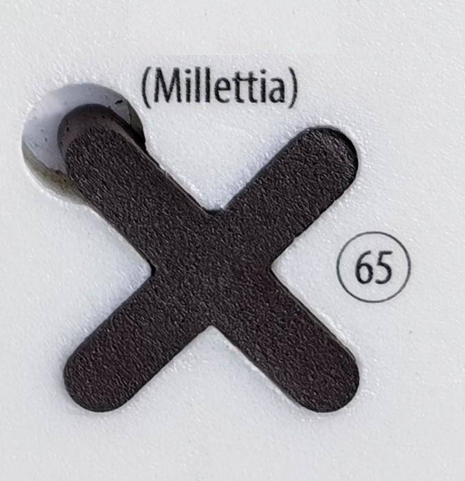 Fugalite Bio Parquet millett 65, 3kg (A+B) epoksidinis glaistas medžio ...