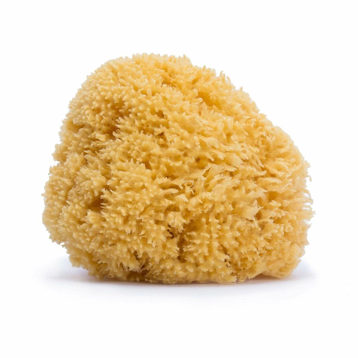"Suavinex" natūrali kempinė Didelio dydžio 1 vienetas, modelis ...
