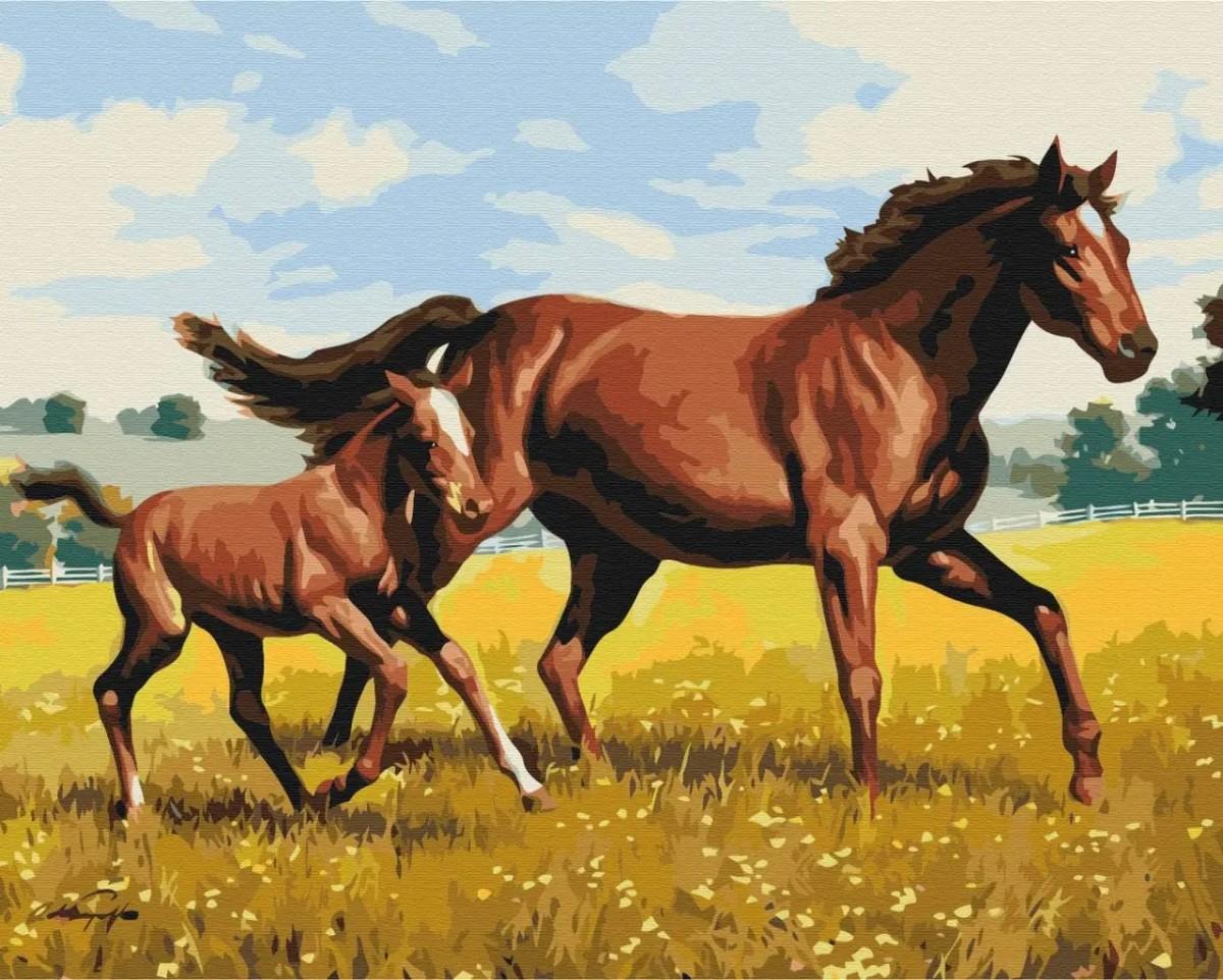 Symag Tapyba pagal skaičius. Galopas 40x50cm, modelis - BS52394, žema ...