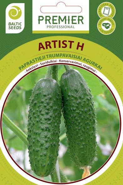 Agurkai ARTIST, žema kaina | Varle.lt