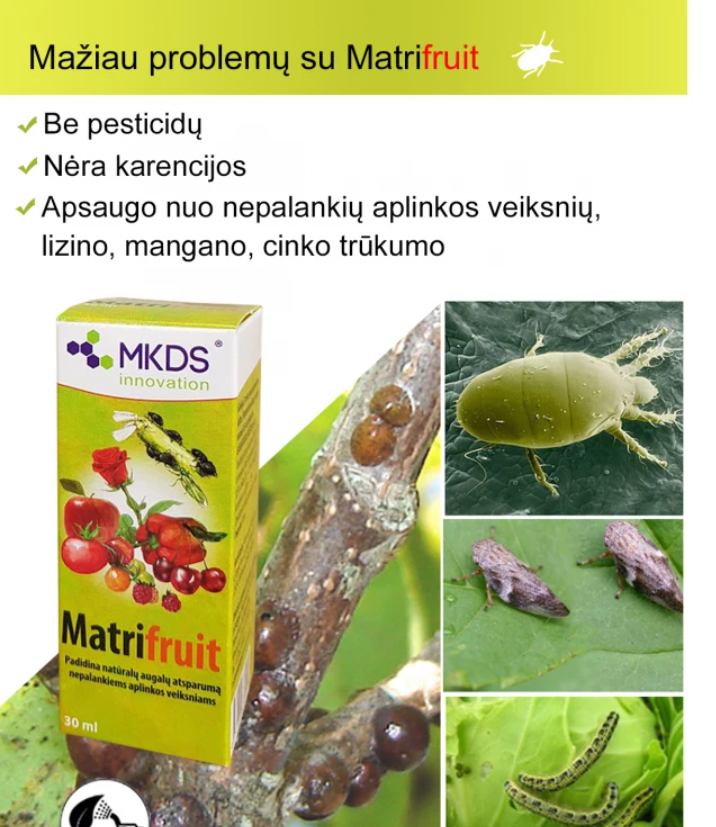 Mkds MATRIFRUIT, 30 ML, žema kaina | Varle.lt