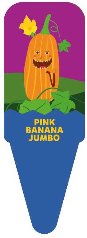 SODOLENDAS x KAKĖ MAKĖ MOLIŪGAI DIDIEJI Rožinis BANANA JUMBO - KAKĖ ...