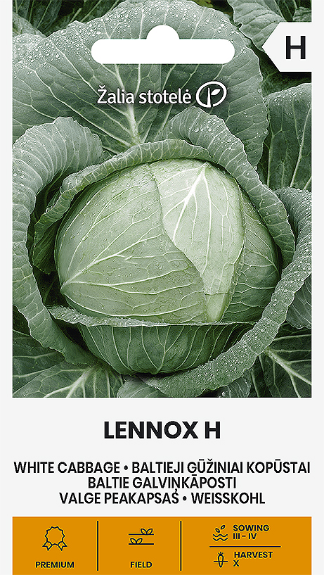 Zalia Stotele BALTIEJI GŪŽINIAI KOPŪSTAI LENNOX H, žema kaina | Varle.lt
