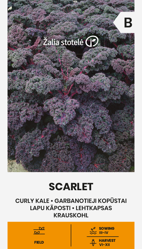 Zalia Stotele GARBANOTIEJI KOPŪSTAI SCARLET, žema kaina | Varle.lt