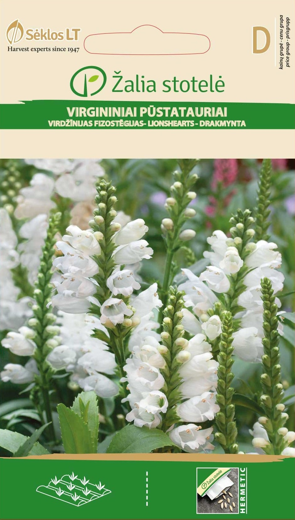 Zalia Stotele PŪSTATAURIAI VIRGININIAI, žema kaina | Varle.lt