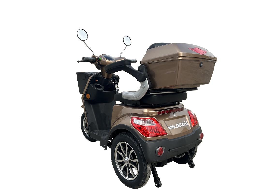 Elektrinis triratis motoroleris MS03.M10 1000W 20AH - Rudas, žema kaina ...