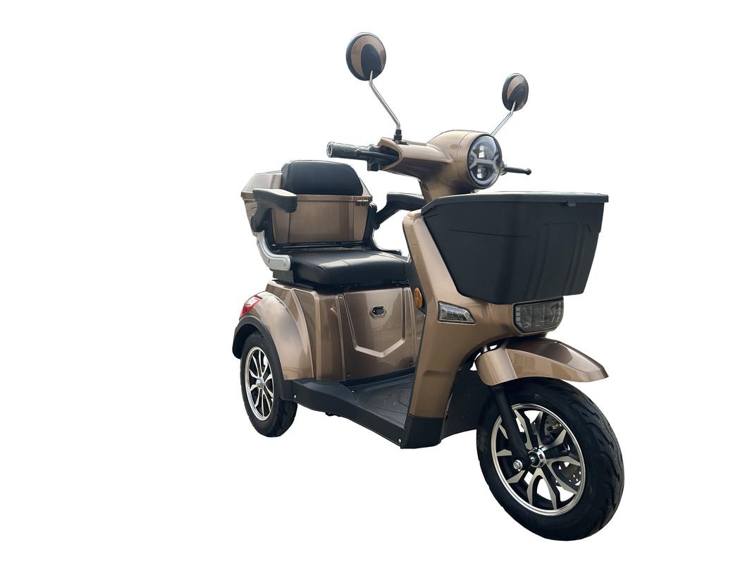 Elektrinis triratis motoroleris MS03.M10 1000W 20AH - Rudas, žema kaina ...