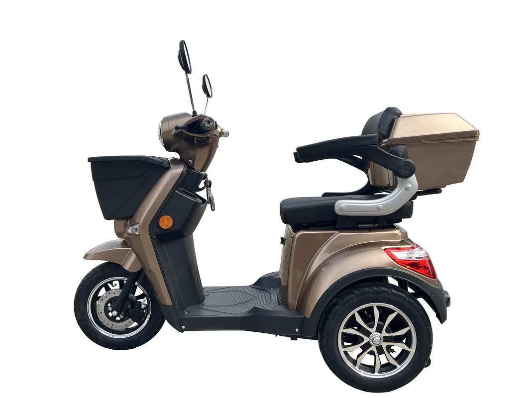 Elektrinis triratis motoroleris MS03.M10 1000W 20AH - Rudas, žema kaina ...