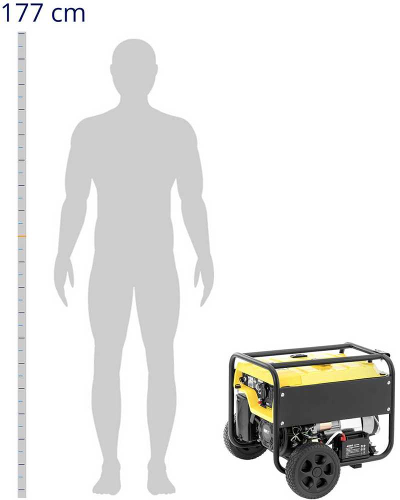 MSW Mobilus generatorius su starteriu AC 230V / DC 12V 2700W, modelis ...