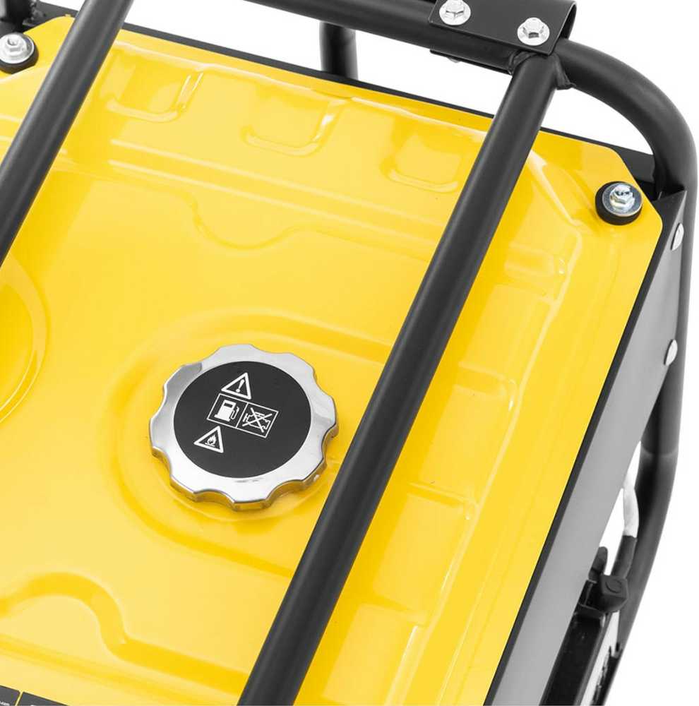 MSW Mobilus generatorius su starteriu AC 230V / DC 12V 2700W, modelis ...