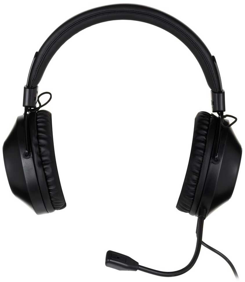 Komfortiškos kompiuterinės ausinės Trust OZO, USB jungtis, 24132 ...