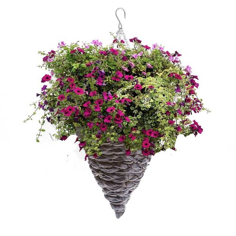 Garden_Cente Pintas kabamasis vazonas Sodo centras, Ø31 cm, modelis ...