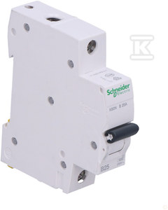 Schneider Electric Automatinis jungiklis Schneider K60N, 1P, B, 25A, 6kA, modelis - A9K01125 ...