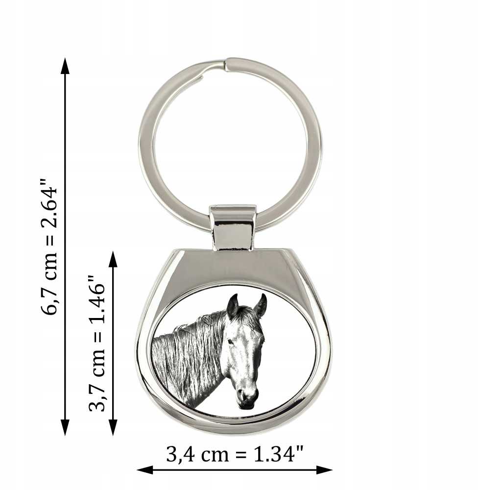 Namibijos dykumos arklys arklio nuotraukos pakabukas Art-Dog, žema ...