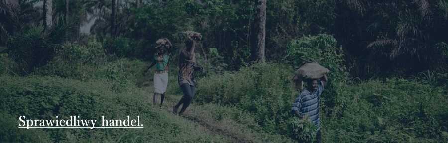 Ekologiški sauso šampūno milteliai Guarana, Eliah Sahil, 100g, modelis - PI13071, žema kaina ...