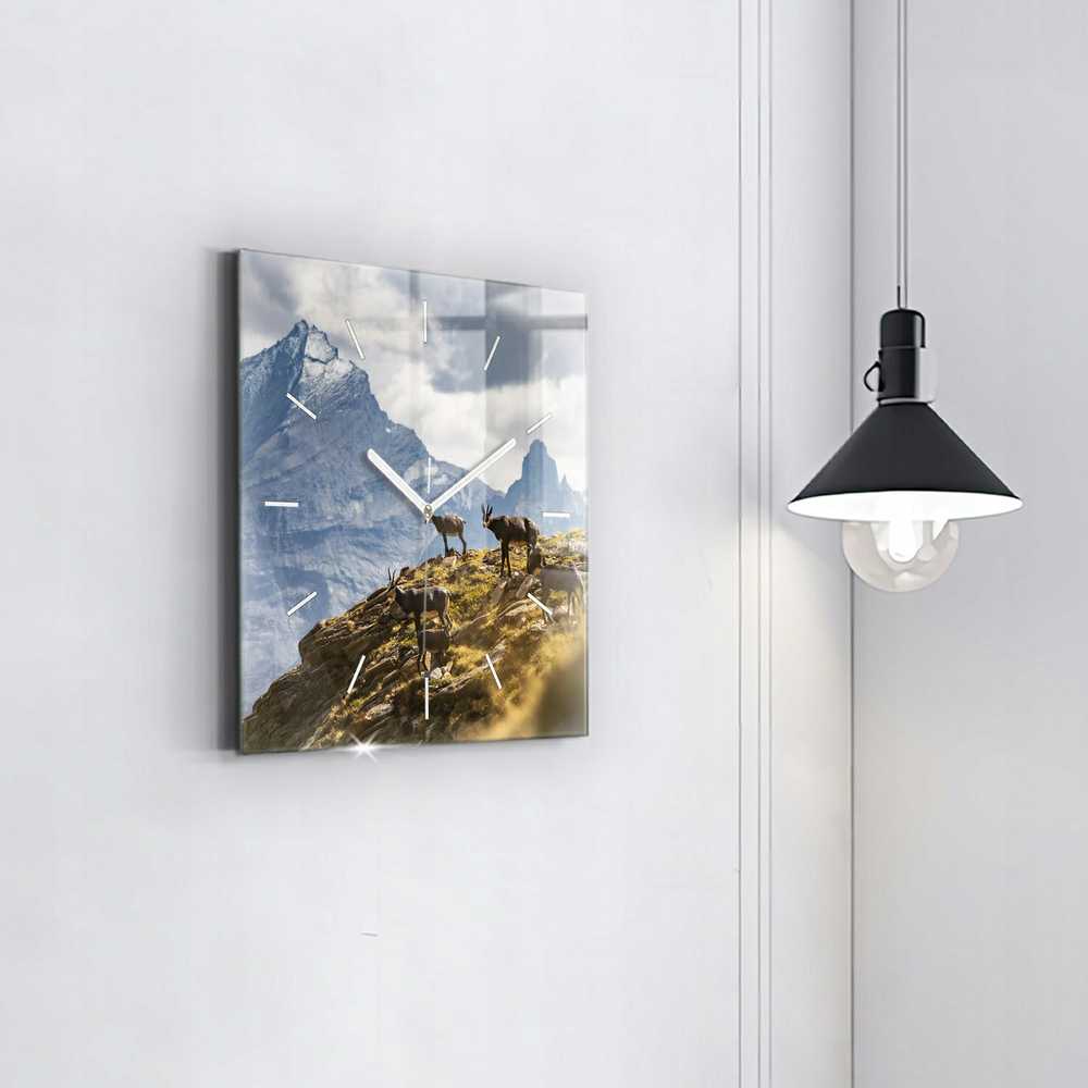 Sieninis laikrodis Ožka Aostos Slėnyje, žema kaina | Varle.lt