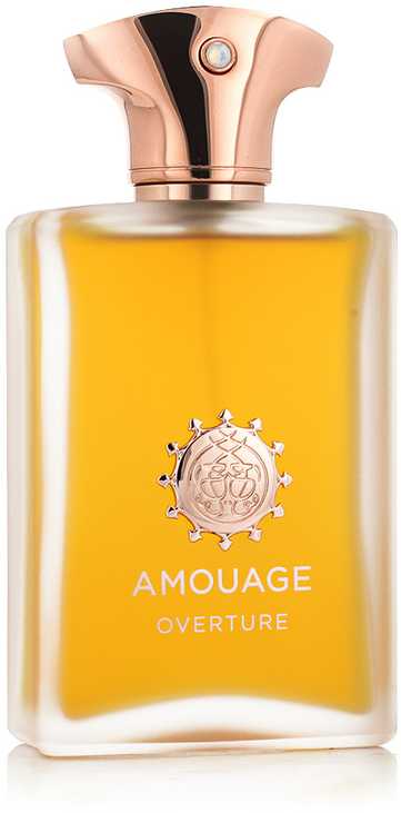 Amouage Overture Man 100ml NIŠINIAI kvepalai Vyrams EDP, žema kaina ...