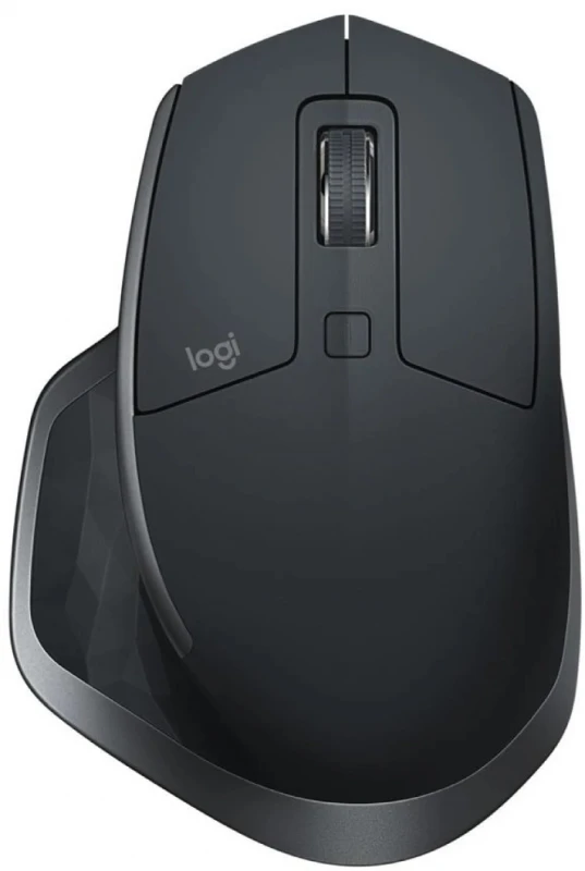 Bevielė pelė Logitech MX Master 2S (juoda), modelis - 910-007225, žema ...