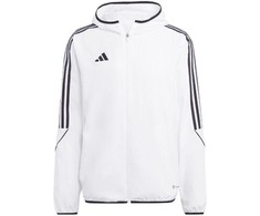 Vyriškos striukės - internetu už itin žemą kainą | Varle.lt