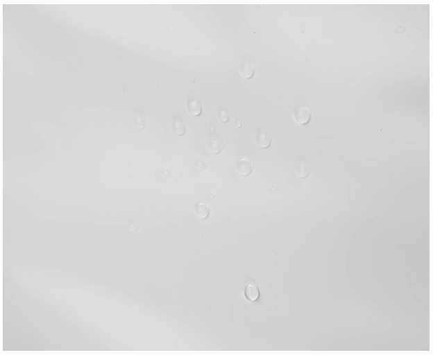 Iso Trade Pikniko krepšys 13587, modelis - XL15248, žema kaina | Varle.lt