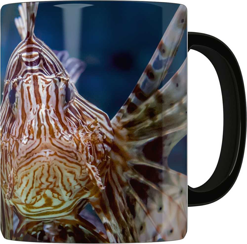 Egipto puodelis: piramidė, Luksoras, suvenyras, žema kaina | Varle.lt