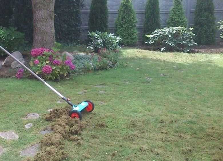 Greenmill vejos aeratorius-skarifikatorius su ratukais, žema kaina ...