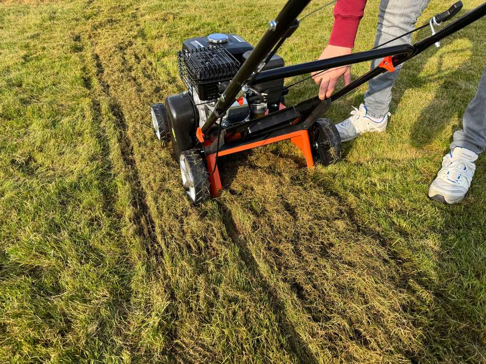 Benzininis vejos aeratorius-skarifikatorius, 10 AG, 40cm, žema kaina ...