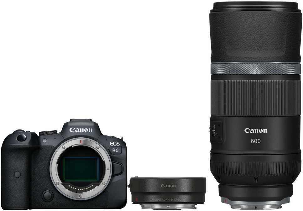 Canon EOS R6 + RF 600mm f / 11 IS STM + Mount Adapteris EF-EOS R, žema ...