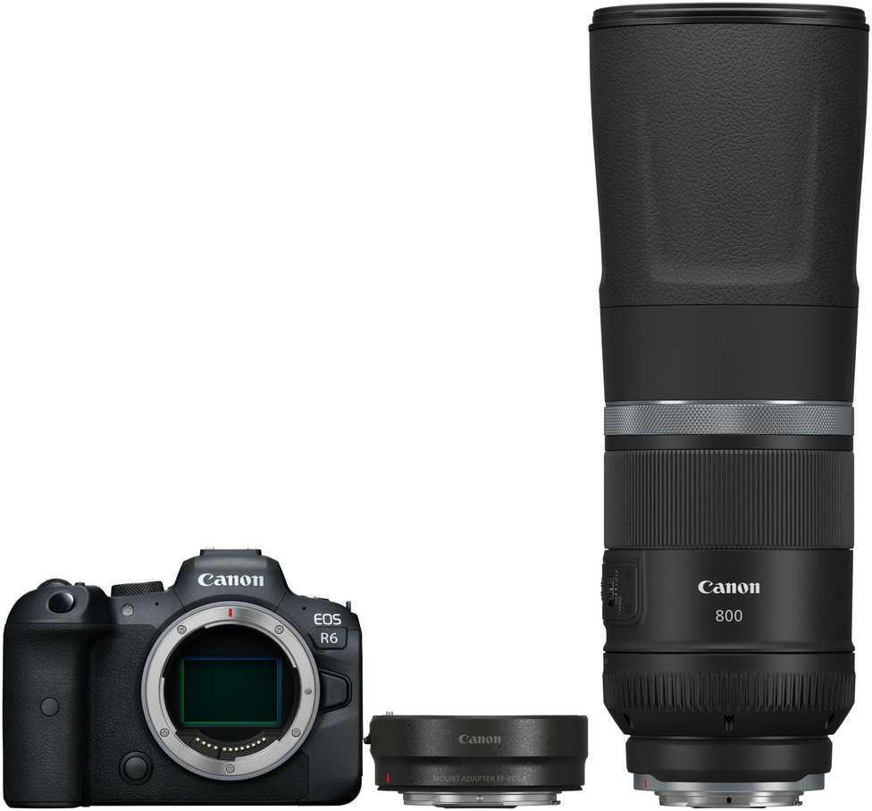 Canon EOS R6 + RF 800mm f / 11 IS STM + Mount Adapteris EF-EOS R, žema ...