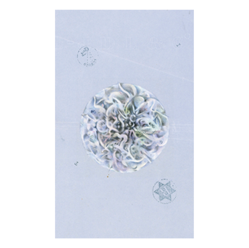 Llewellyn The Archeo: Personal Archetype Cards orakulo kortos, žema ...