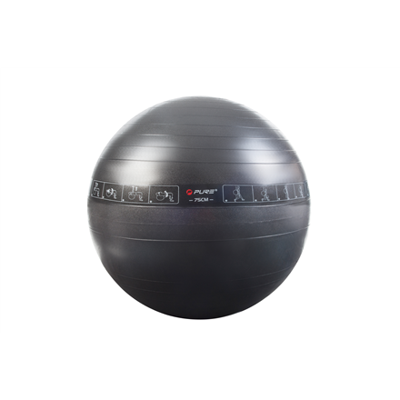Pure2Improve P2I200080 Exercise Ball Juodas 75 cm, modelis - P2I200080, žema kaina | Varle.lt