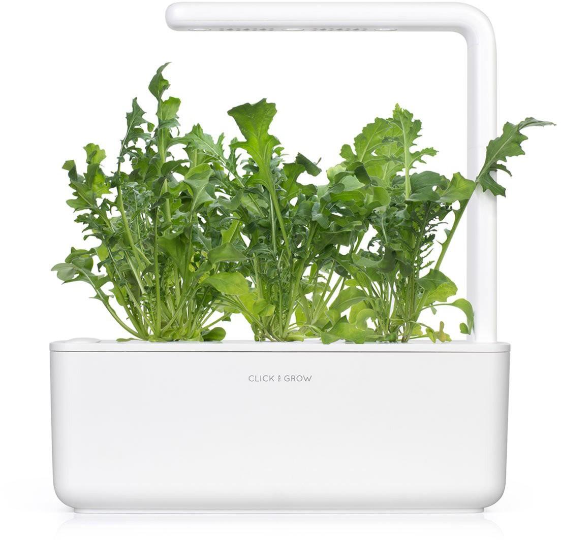 Click And Grow Click Grow Click & Grow Smart Garden pildymas Arugula ...
