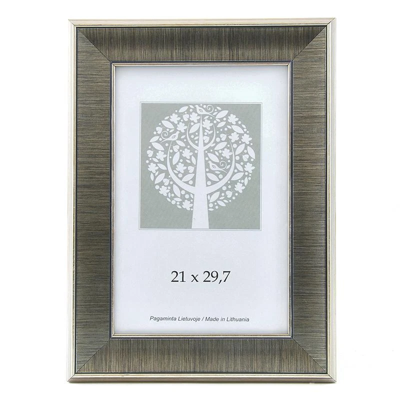 Savex Nuotraukų rėmelis, plastikinis, A4, 21x29,7 cm, sidabro sp., žema ...