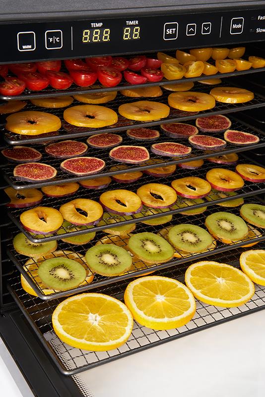 Maisto produktų džiovyklė Zyle ZY100FD, modelis - ZY100FD, žema kaina ...