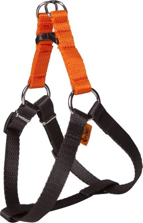Dingo Fred Energy Dydis 60 Plot 16 Cm Oranžinė 94615 Modelis 94615 žema Kaina Varlelt