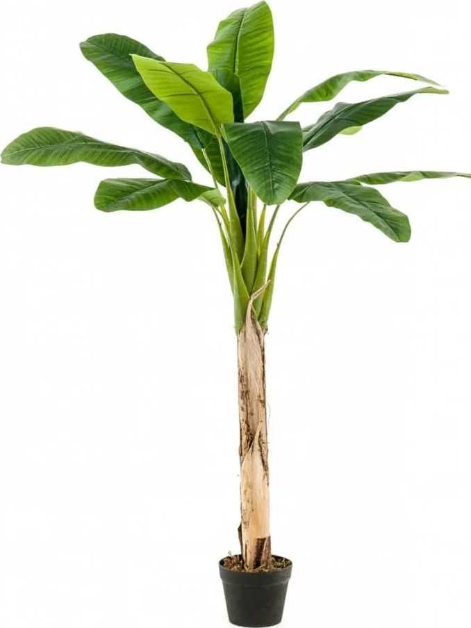 Emerald Emerald Dirbtinis bananas puode, 120 cm, modelis - Emerald ...
