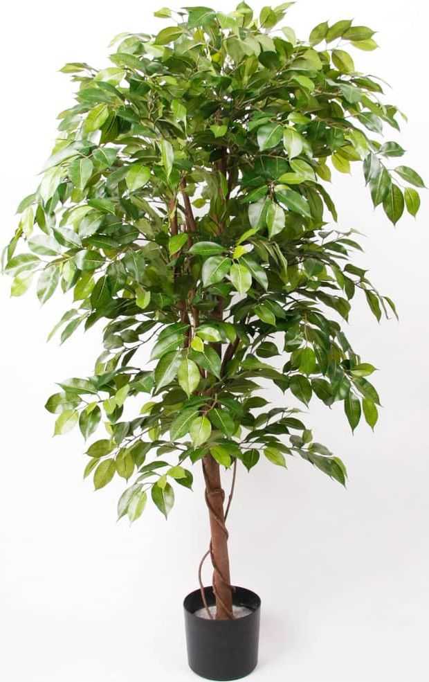 Emerald Emerald Dirbtinis ficus benjamin Deluxe, 140 cm, puode, modelis ...