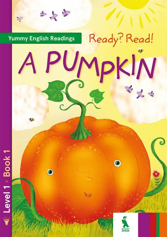 Ready? Read! A pumpkin, žema kaina | Varle.lt