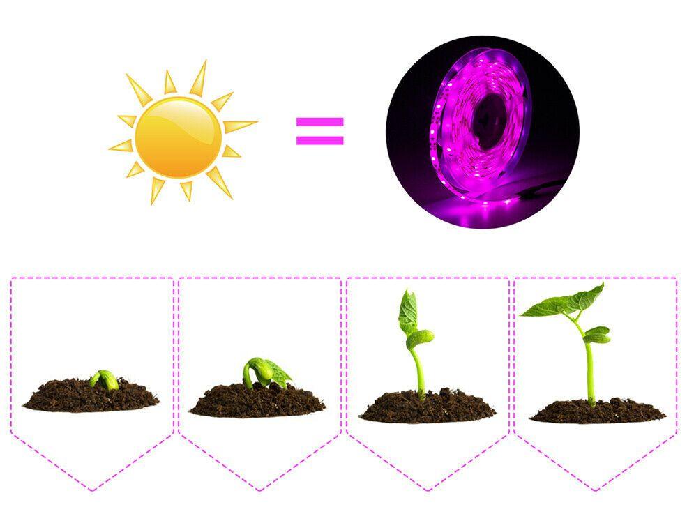 LED juosta augalams auginti 1M, žema kaina | Varle.lt