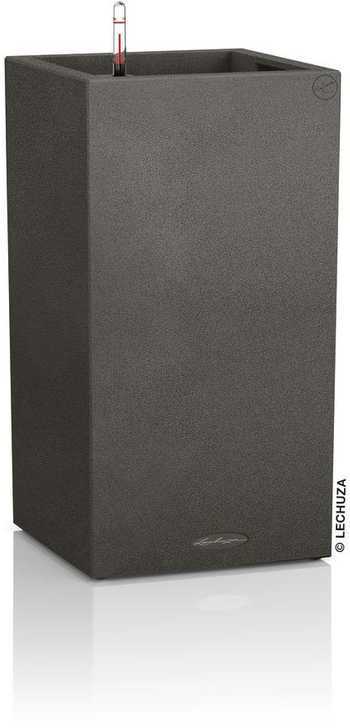 Lechuza Canto 30, žema kaina | Varle.lt