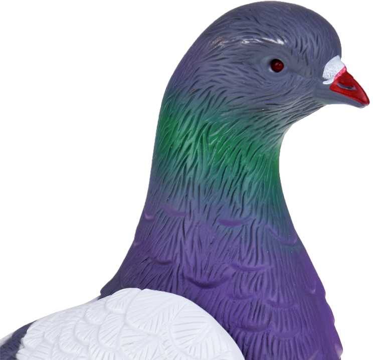 Interaktyvus žaislas - balandis, modelis - HRZA4825, žema kaina | Varle.lt